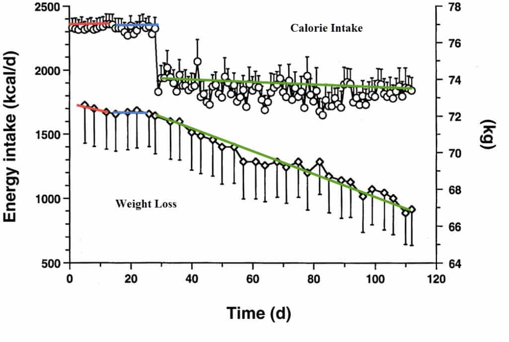 Protein Benefits for Health And Why You May Need More