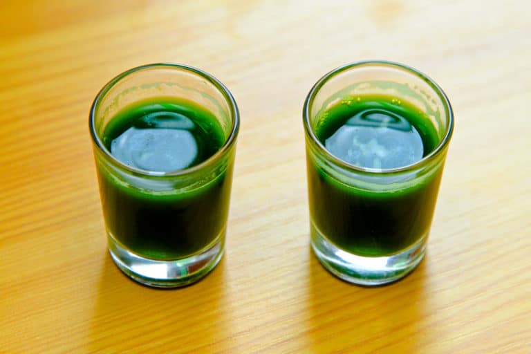 What Does Wheatgrass Taste Like? You Might Be Surprised!