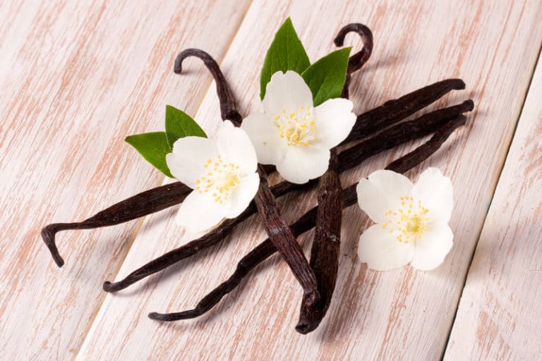 Types of Vanilla Beans – What’s the Best For You?