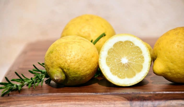 33 Fantastic Things to Do with Lemons