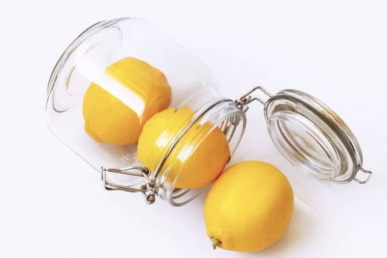 33 Fantastic Things to Do with Lemons
