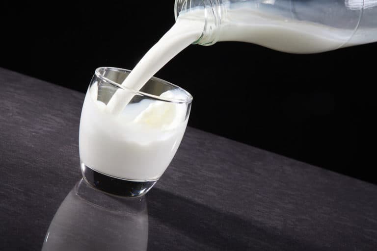 Full Fat vs Low Fat Dairy: Which is Better for You?