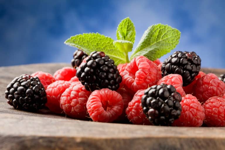 11 Phytochemical Foods and How to Get Their Benefits