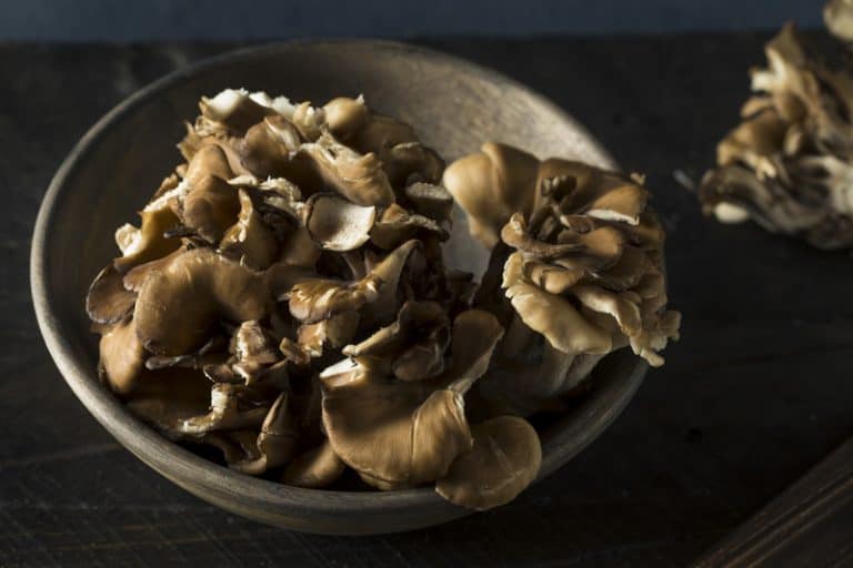 The 12 Healthiest Mushrooms That You Can Eat