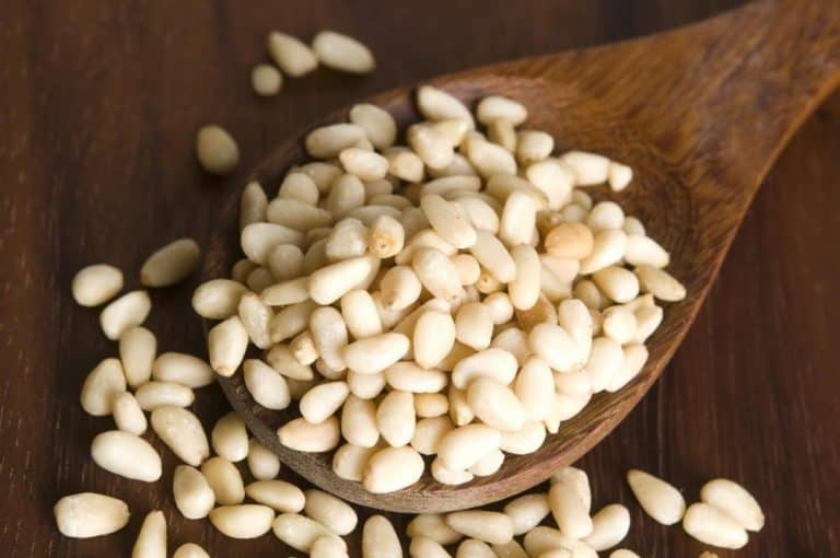 Pine Nuts Benefits and Allergy – All You Need to Know